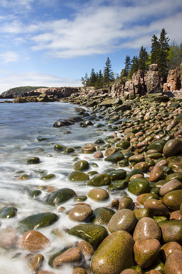 Pebble Beach Photograph by Patsy Zedar - Fine Art America