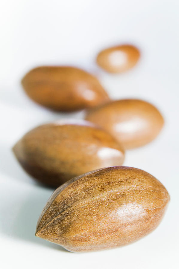 Pecans by Gustoimages / Science Photo Library