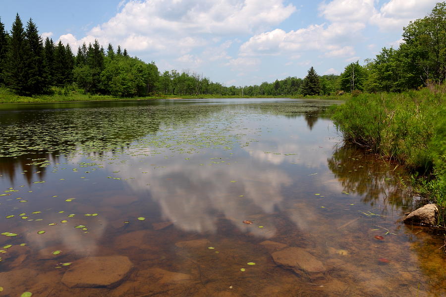 Pendleton Lake Photograph by Eric Mallamo - Fine Art America