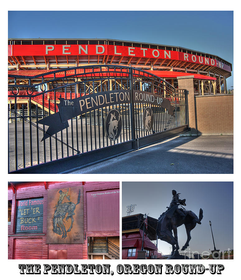 Pendleton Round-Up Photograph by David Bearden - Fine Art America