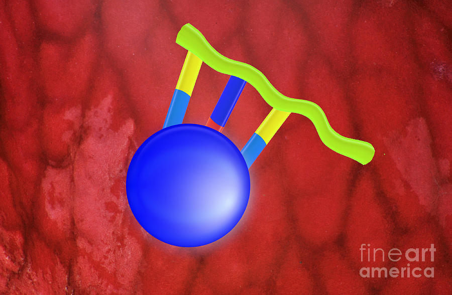 Peptide, Artwork Photograph by Sigrid Gombert - Fine Art America