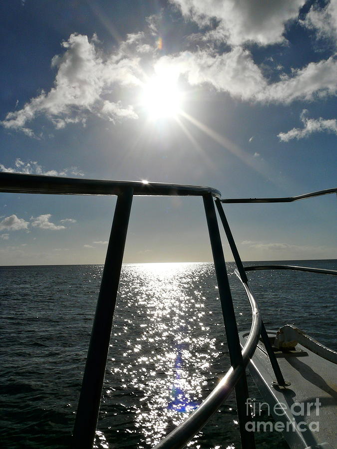 Perfect Alignment Photograph by Donna McLarty - Fine Art America