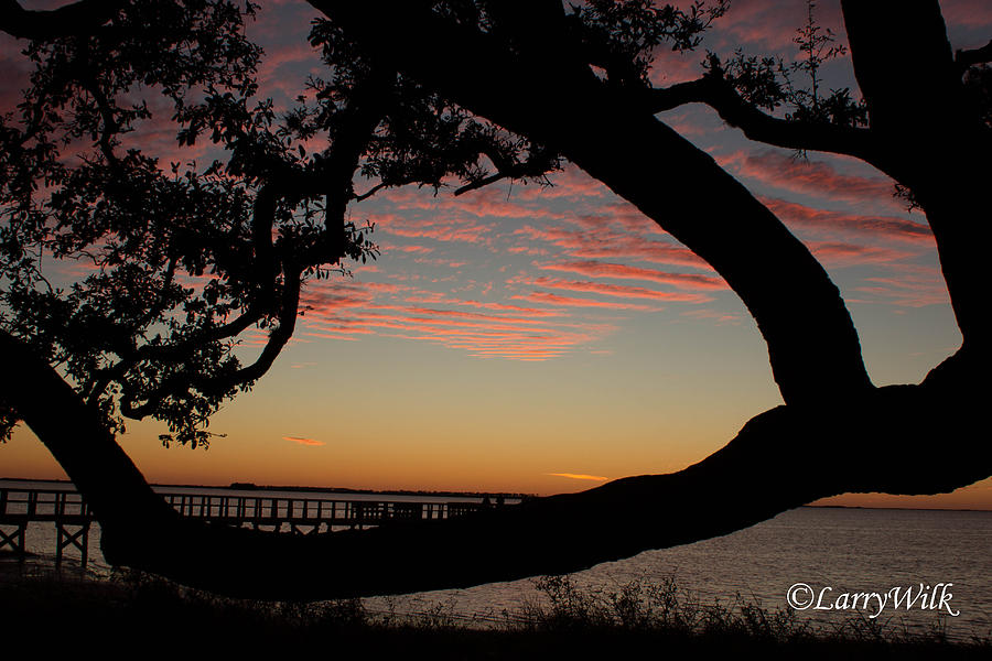 Perfect Frame Photograph by Larry Wilkerson - Fine Art America