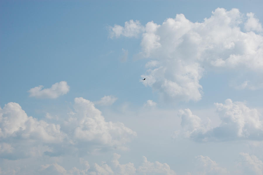 Perfect Sky Flight - clouds Photograph by Roy Erickson - Fine Art America