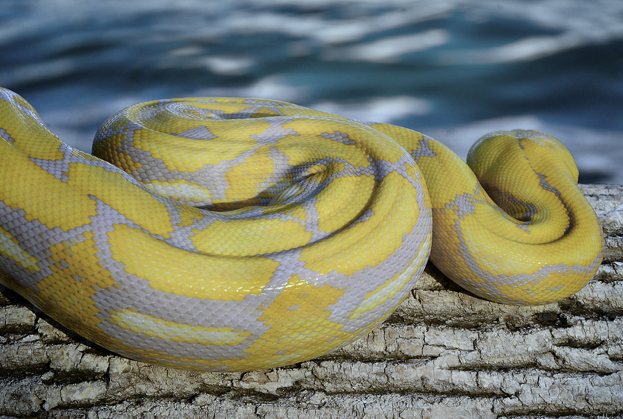 Perspective Photograph by Steven Michael | Fine Art America