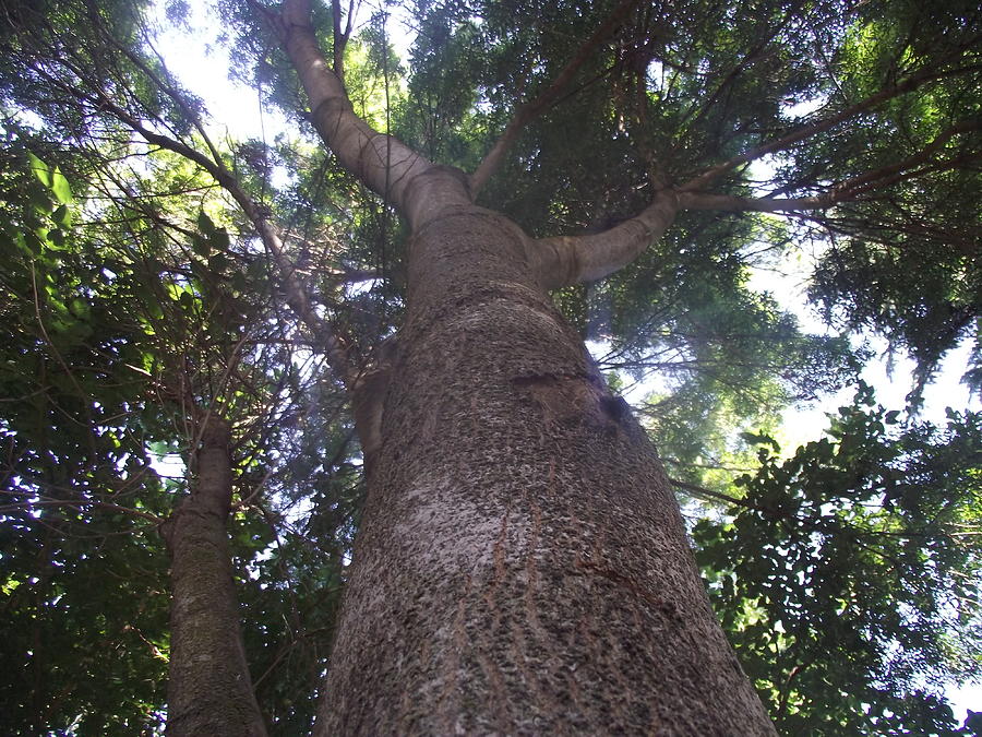 Perspective4 Photograph by Jinha Park - Fine Art America