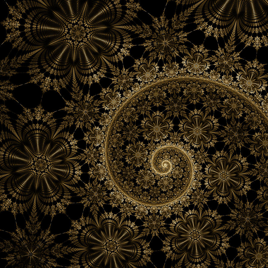 Phaethon Photograph by Ross Hilbert - Fine Art America