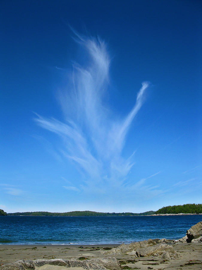 Phoenix Rising Photograph by Bert Hoff - Fine Art America