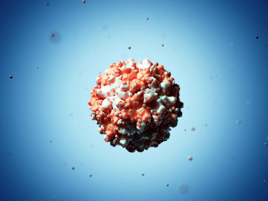 Picobirnavirus Particle Photograph by Sciepro/science Photo Library | Fine Art America