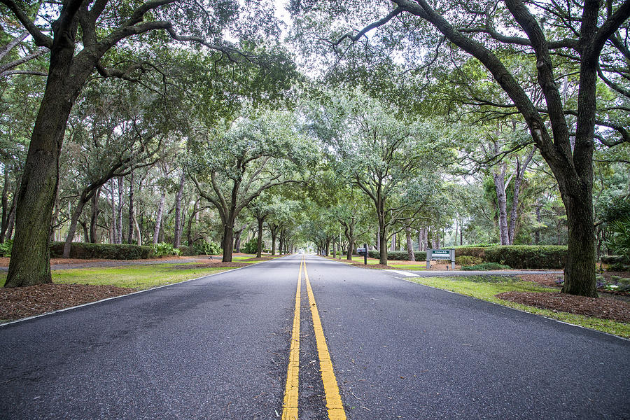 Picture Perfect Drive Photograph by Bill Cubitt - Fine Art America