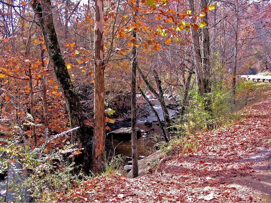 Pigeon Forge River Photograph by Marian Bell - Fine Art America