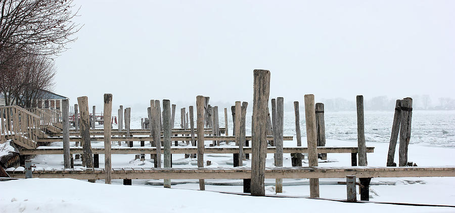 Piling Patterns 2 Photograph by Mary Bedy - Fine Art America