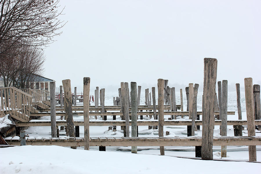 Piling Patterns Photograph by Mary Bedy - Fine Art America