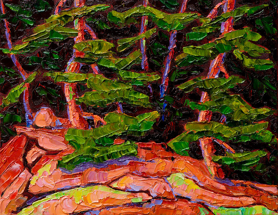 Pine study Painting by Rob MacArthur - Fine Art America