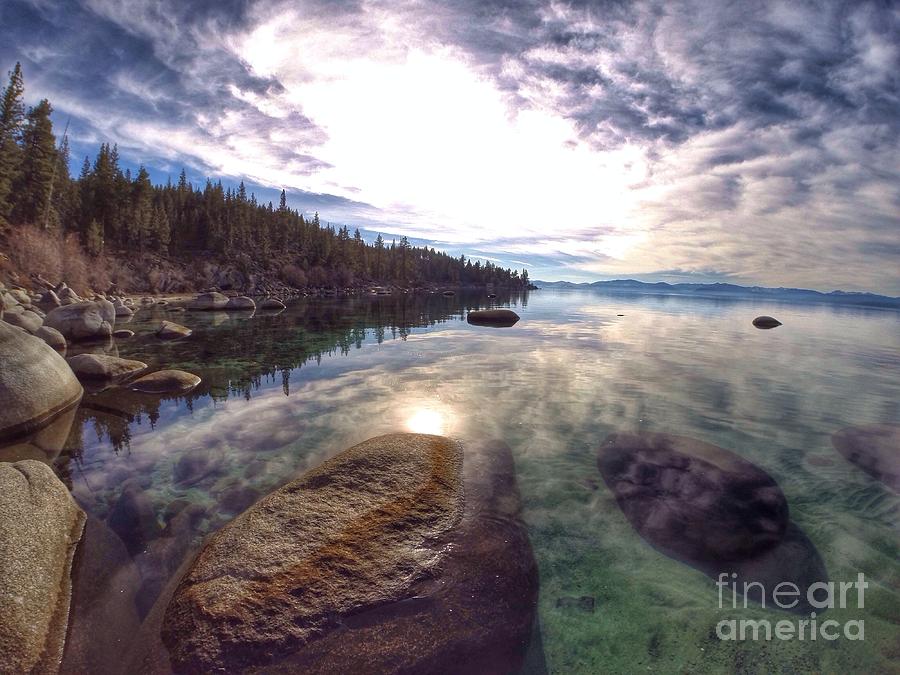 Pine Tree Point Photograph by Daniel Bradley - Pixels