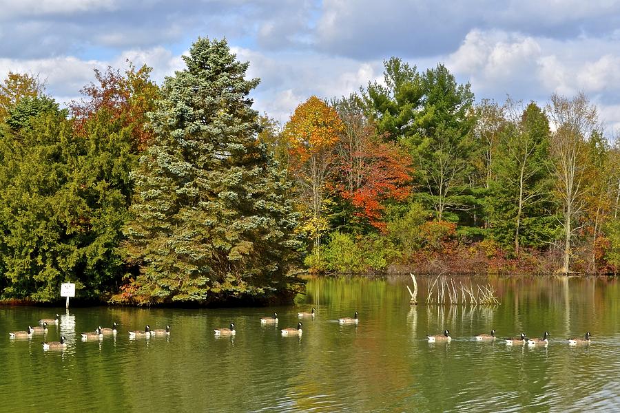 Pine Tree Pond Photograph by Frozen in Time Fine Art Photography - Fine ...