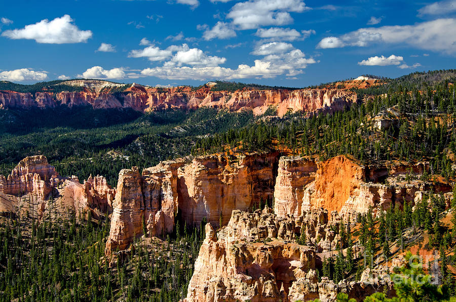 Pink Cliffs -2 Photograph by Baywest Imaging - Fine Art America