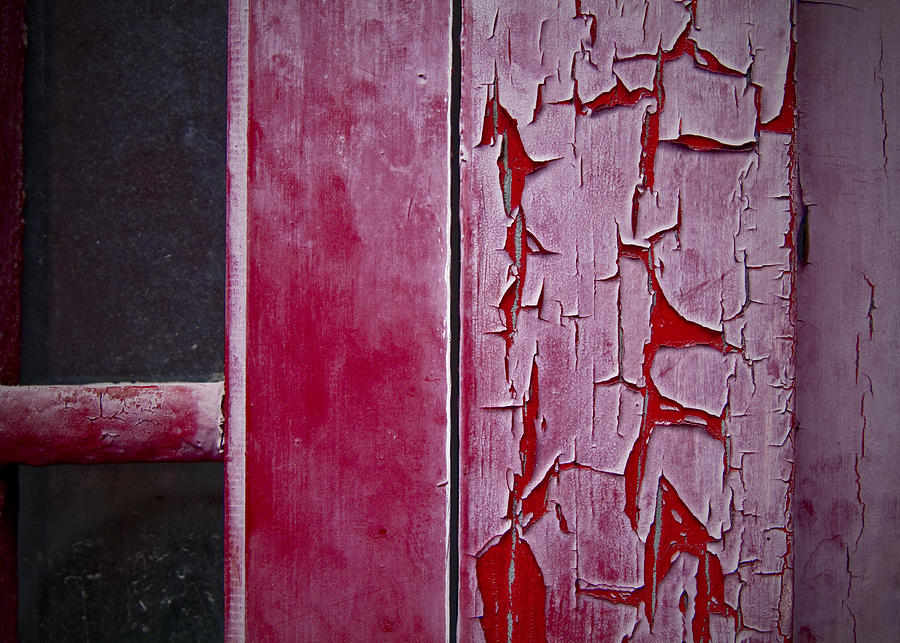 Pink Over Red Photograph by Kabir Ghafari - Fine Art America