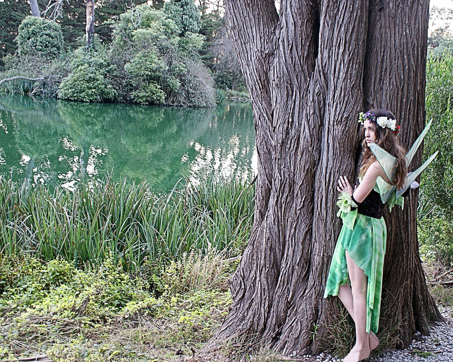 Pixie at a Tree Photograph by Don McCunn | Fine Art America