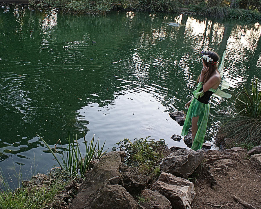 Pixie Watching Duck Photograph by Don McCunn - Fine Art America