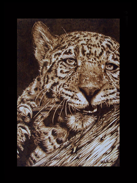 Playful Nature Pyrography by Davide Della Noce - Fine Art America