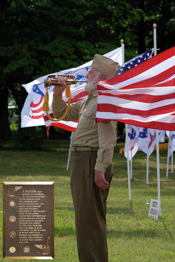 Playing Taps 2 Panel Composite Digital Art Photograph by Thomas Woolworth