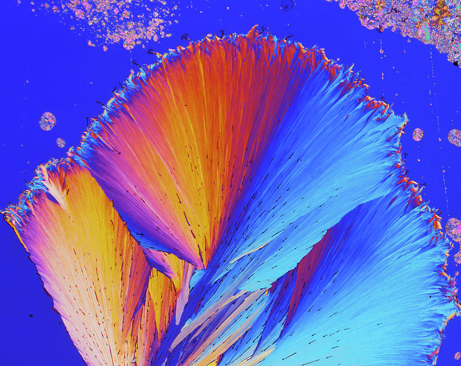Plm Of Crystals Of Oestradiol Female Sex Hormone Photograph By Alfred Pasiekascience Photo Library