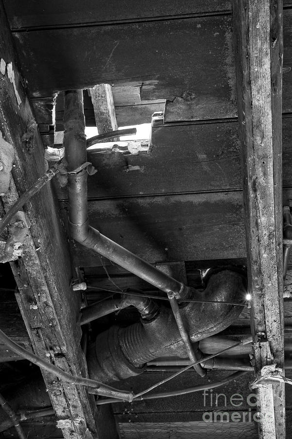 Plumbing Python Photograph by Edward Spector - Pixels