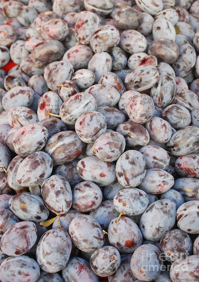 Plums Photograph by Gene Mark - Fine Art America