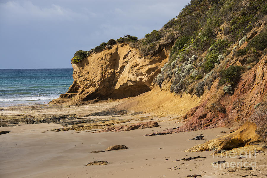 Point Addis Beach Photograph by Bob Phillips - Pixels