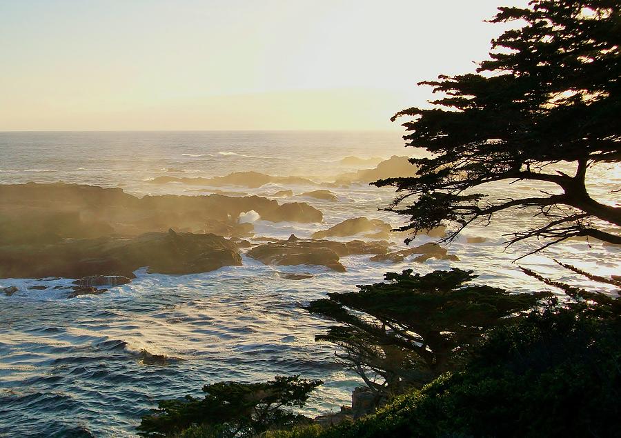 Point Lobos Sunset Photograph by David Lobos