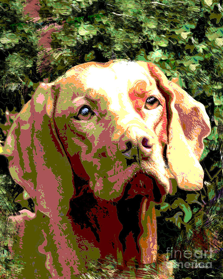 Pointer Digital Art by Keith Ryan - Fine Art America