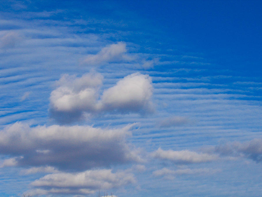 Polarized View Photograph by David Jenniskens | Fine Art America