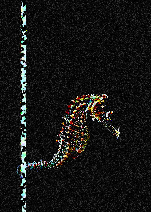 Pole Dancer Digital Art by Dane Ann Smith Johnsen - Fine Art America