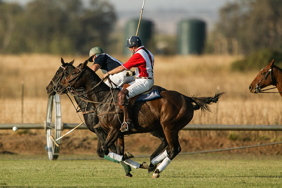 Polo match action Photograph by Henry Inhofer - Pixels