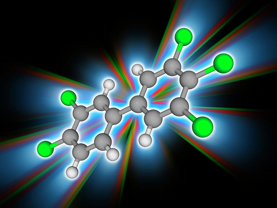 Polychlorinated Biphenyl (pcb 126) Molecule by Science Photo Library