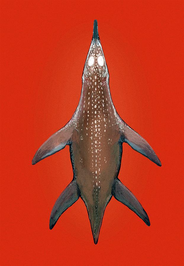 Polycotylus Plesiosaur Photograph by Science Photo Library - Pixels Merch