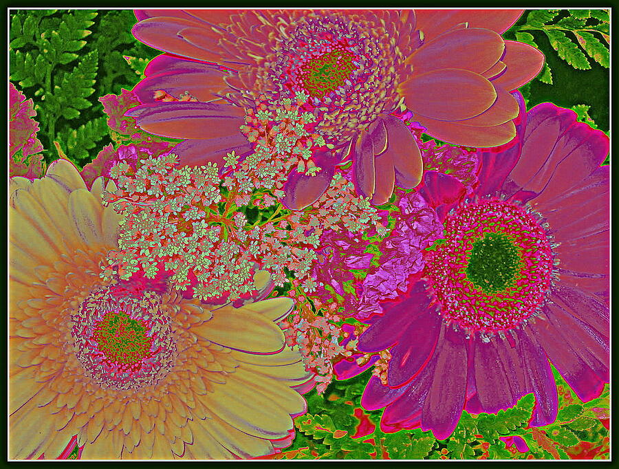 Colorful Daisies Pop Art Photograph by Dora Sofia Caputo - Pixels