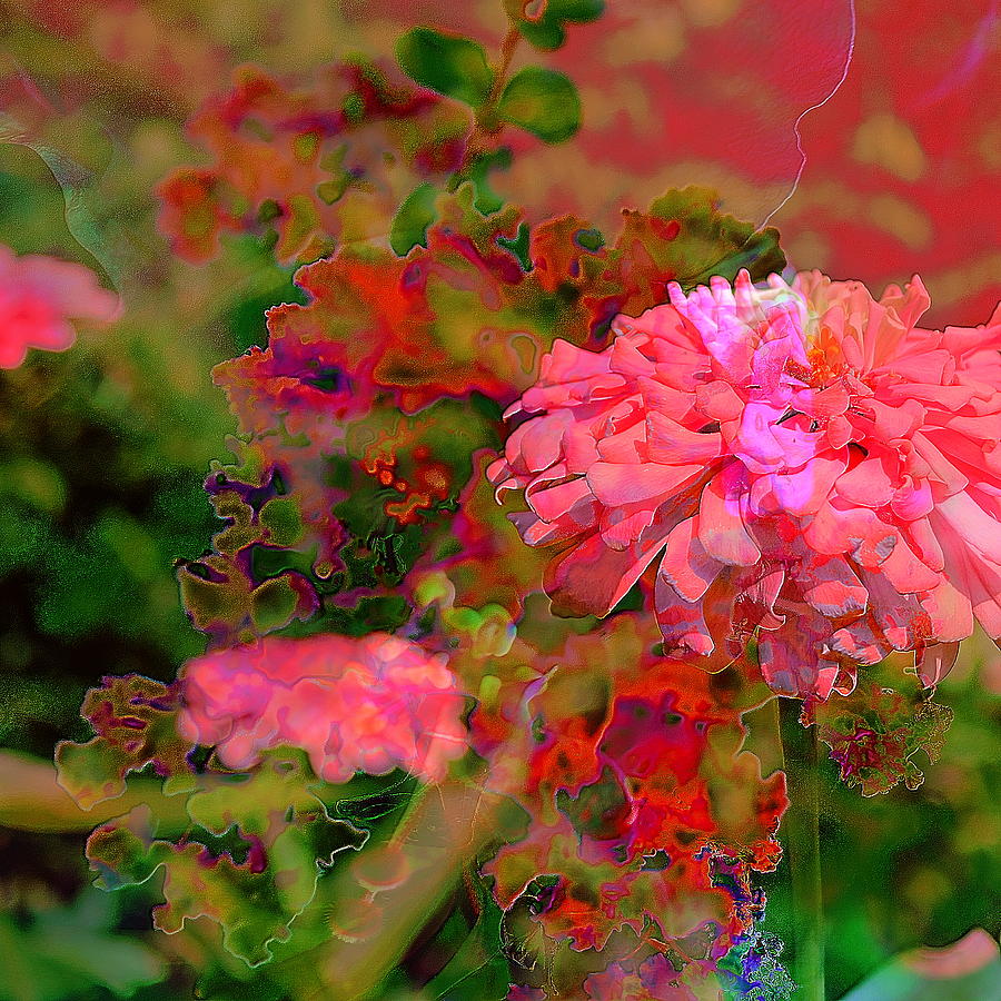 Pretty Precious Photograph by Donna Drusilla Benedict - Fine Art America