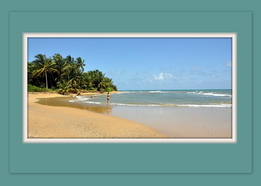 Primitive Beach Photograph by Made For Learning - Fine Art America