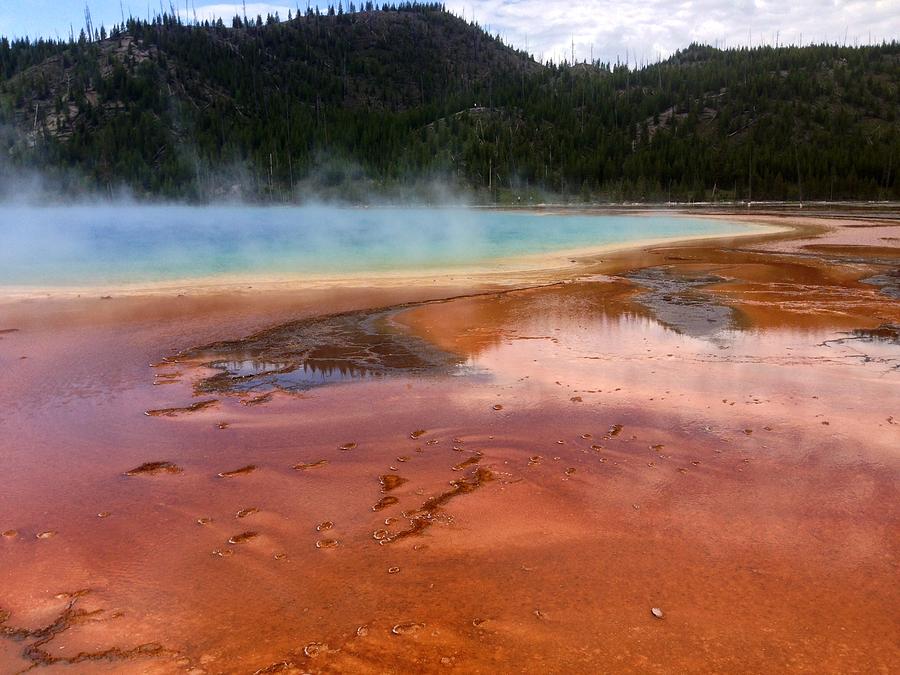 Prismatic Spring Photograph by Amy Venable - Fine Art America