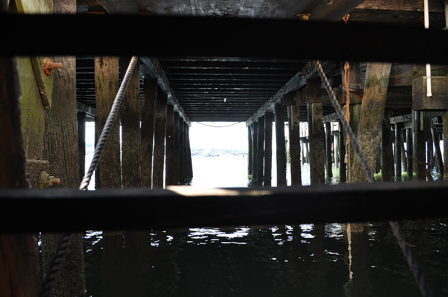 Prisoner Below Photograph by Melissa Hackling - Fine Art America