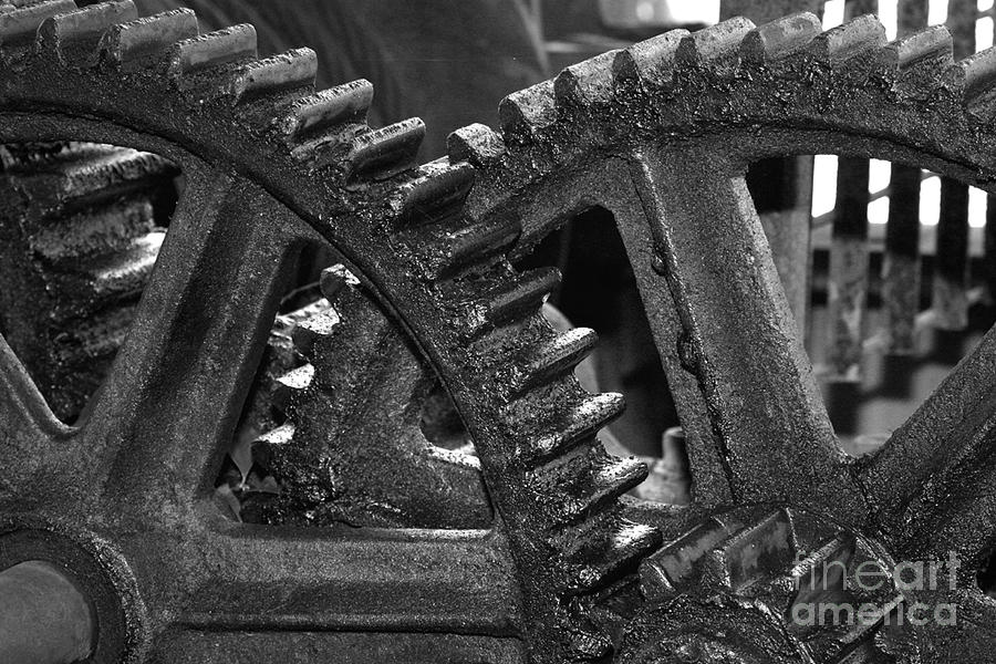 Progress Photograph by Chris Duval - Fine Art America