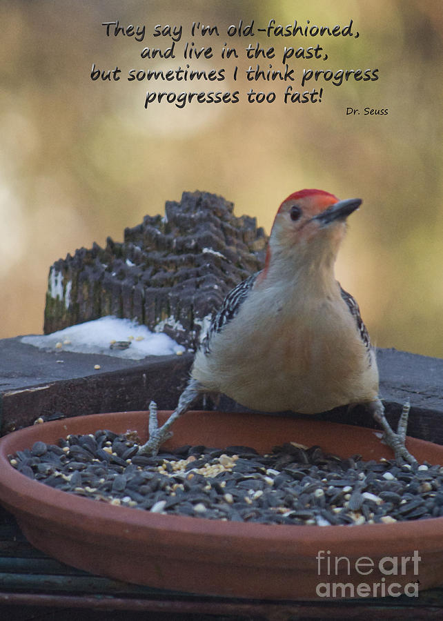 Progress Progresses Fast Sometimes Photograph by Sandra Clark - Fine ...
