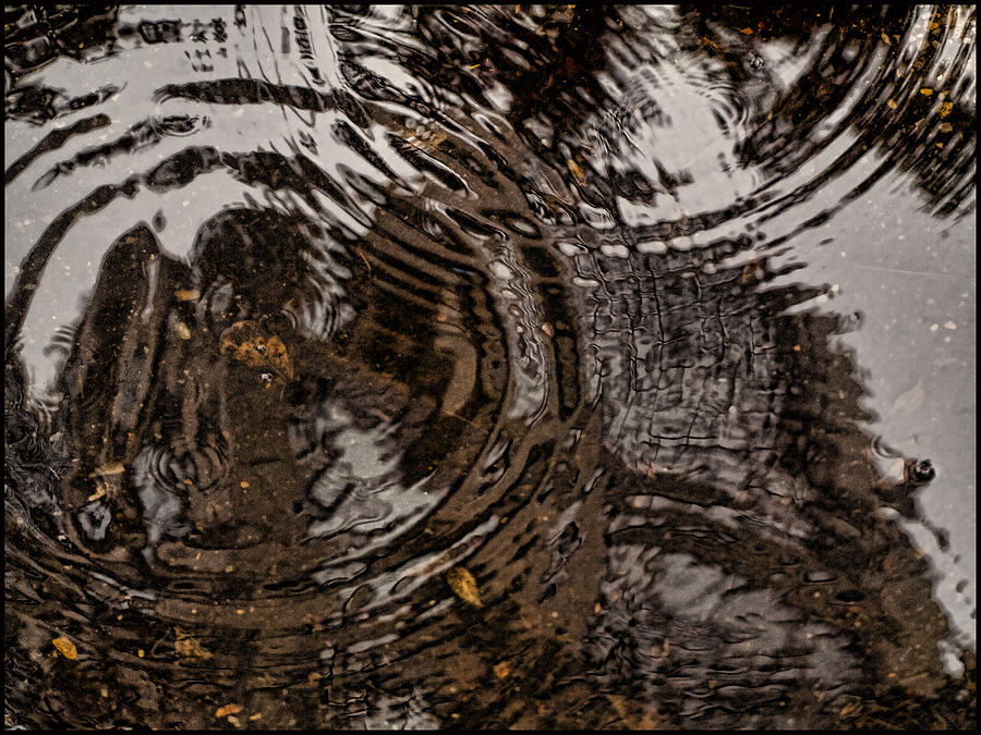 Puddle Photograph by Susan D Phillips - Fine Art America