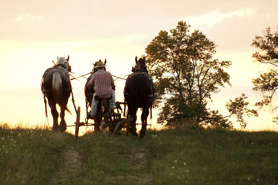 Pulling Home Photograph by Daniel Kasztelan - Pixels