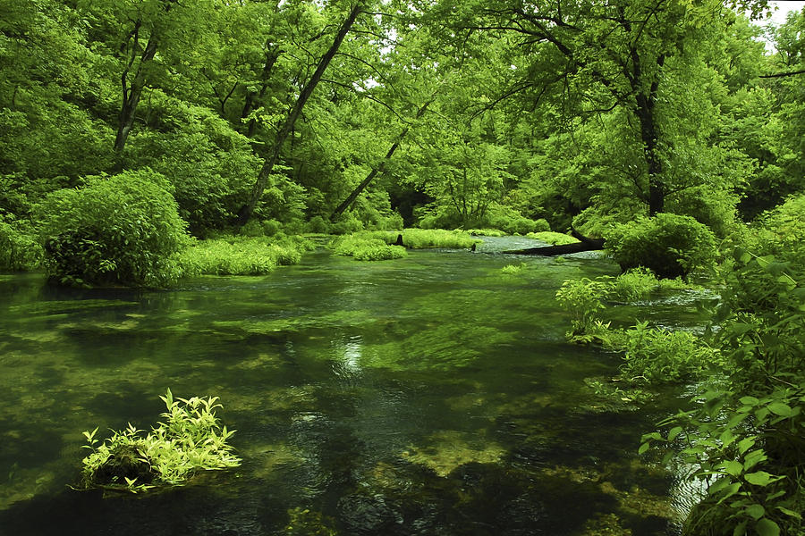 Pulltite Spring Photograph by Harry Enderle - Fine Art America