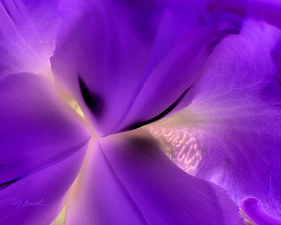 Purple Vortex Digital Art by Different Light Studio - Fine Art America