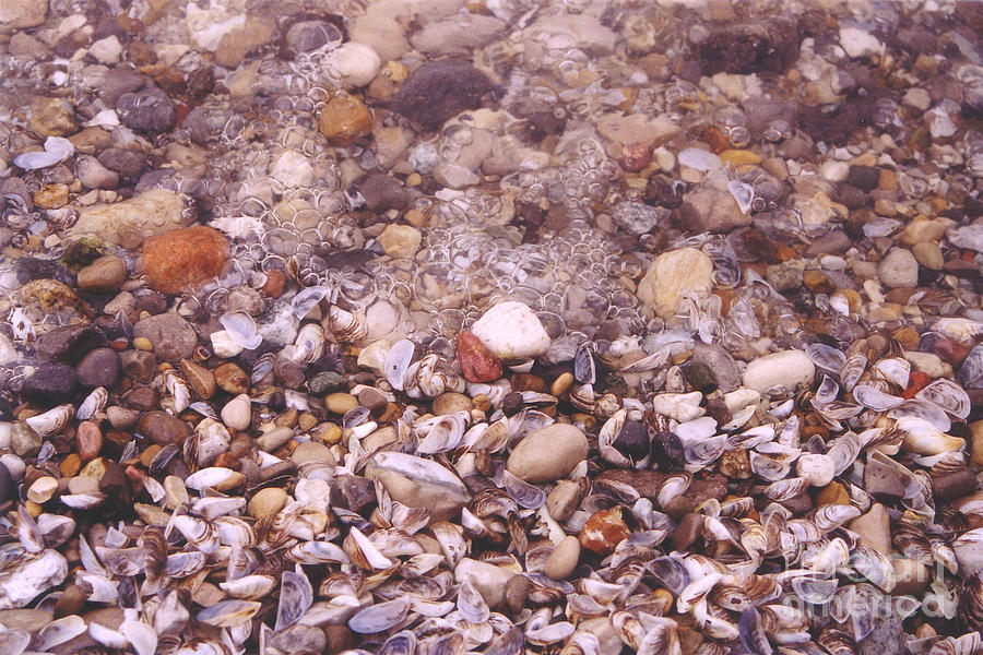 Pyramid Point Beach Photograph by Ben Atkinson | Fine Art America