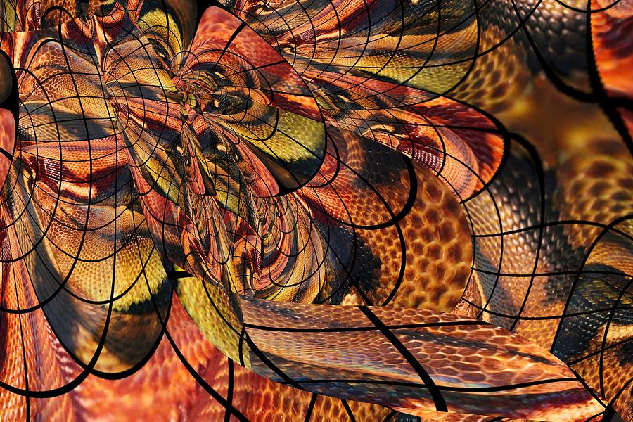 Python Entanglement Photograph by Natalie Ortiz - Fine Art America